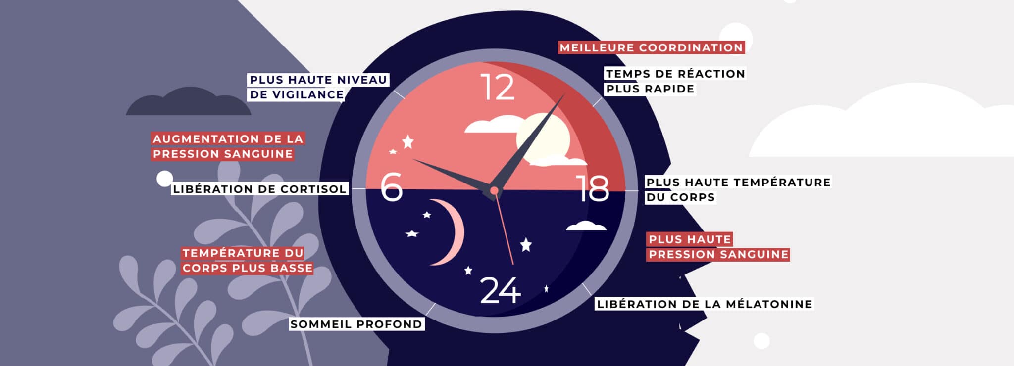 Hygiène de vie et sommeil : les influences | Info Somnolence